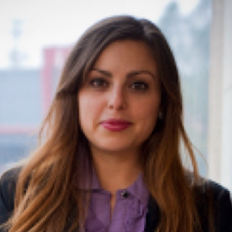 Board of Directors - People's Action Institute